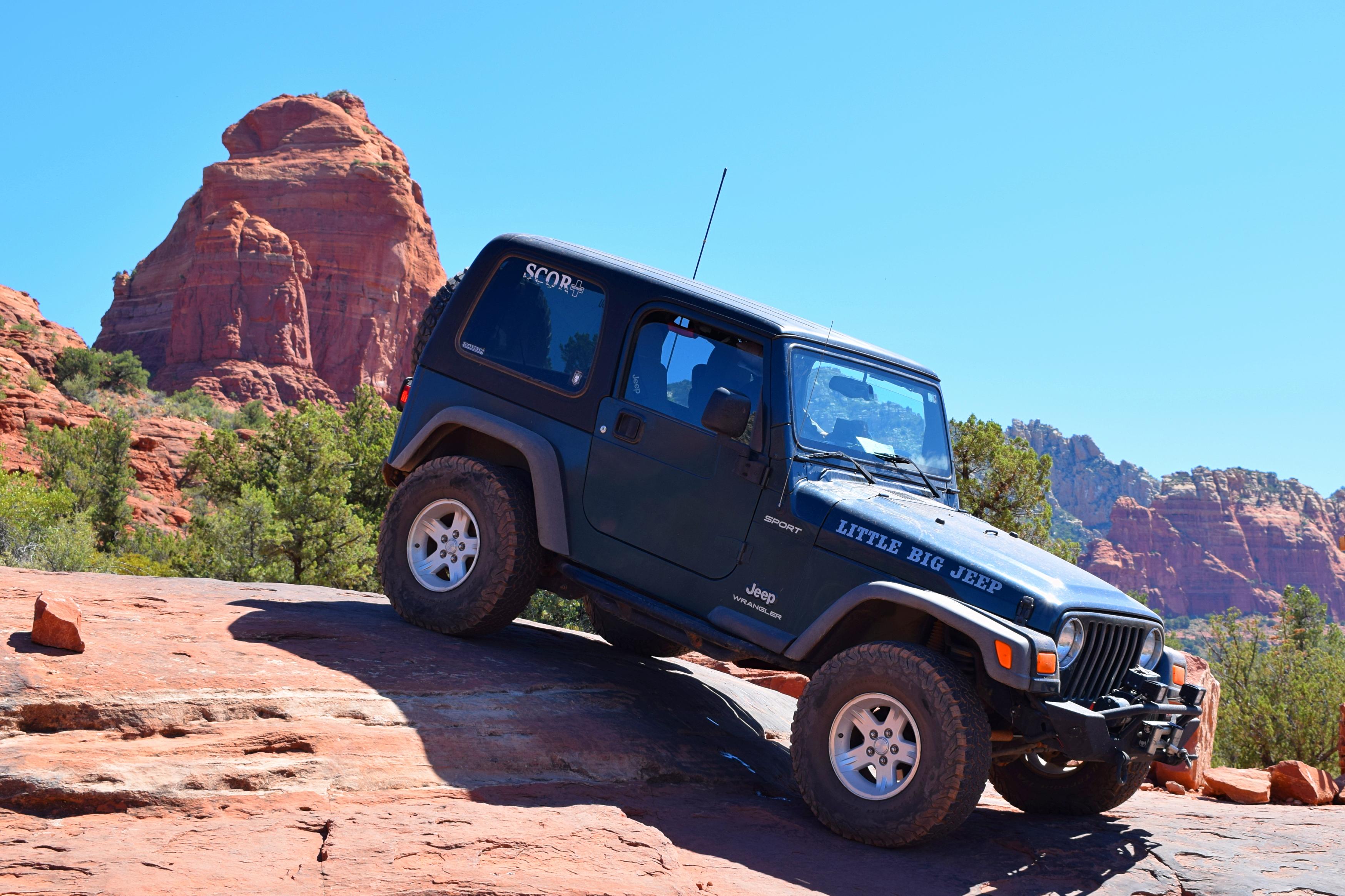 Answered: The Social Security Worksheet is not showing calculations on ...